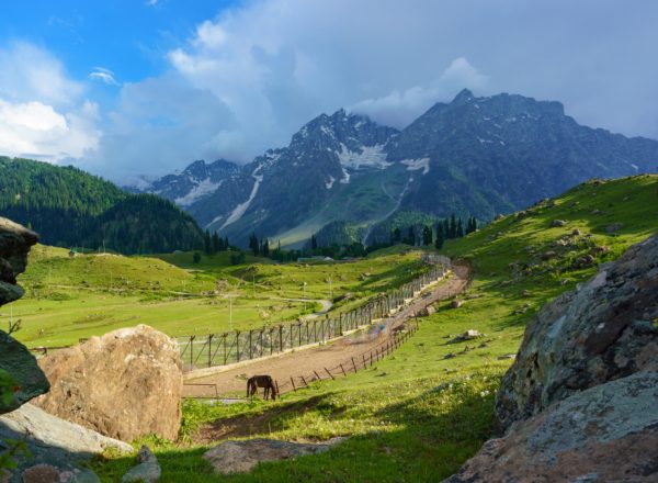 Sonamarg in May – Places to Visit and Things to Do - eKashmir Tourism