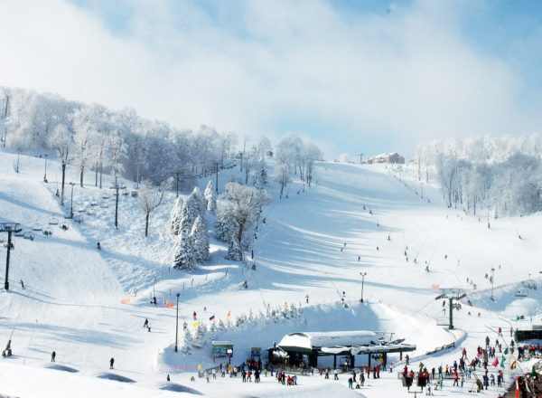 Best Time To Visit Doodhpathri - eKashmir Tourism