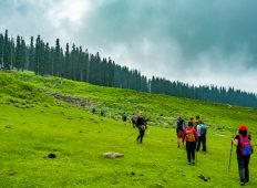 Gulmarg In April – Places to Visit and Things to Do - eKashmir Tourism